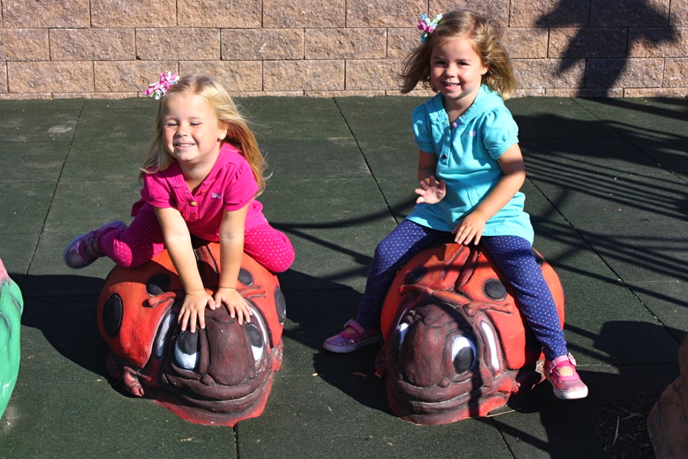 Brendans Playground1 ladybug seats | Accessible Playgrounds