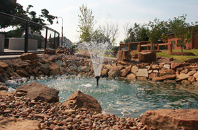 Fish POnd | Accessible Playgrounds