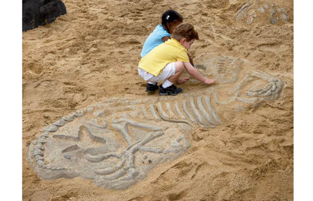 raptor head | Accessible Playgrounds