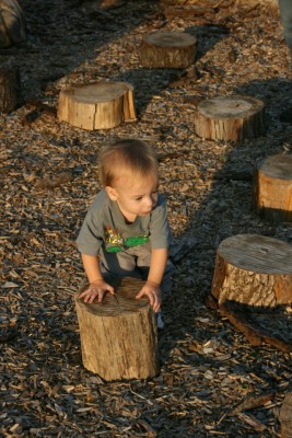 tree stumps | Accessible Playgrounds